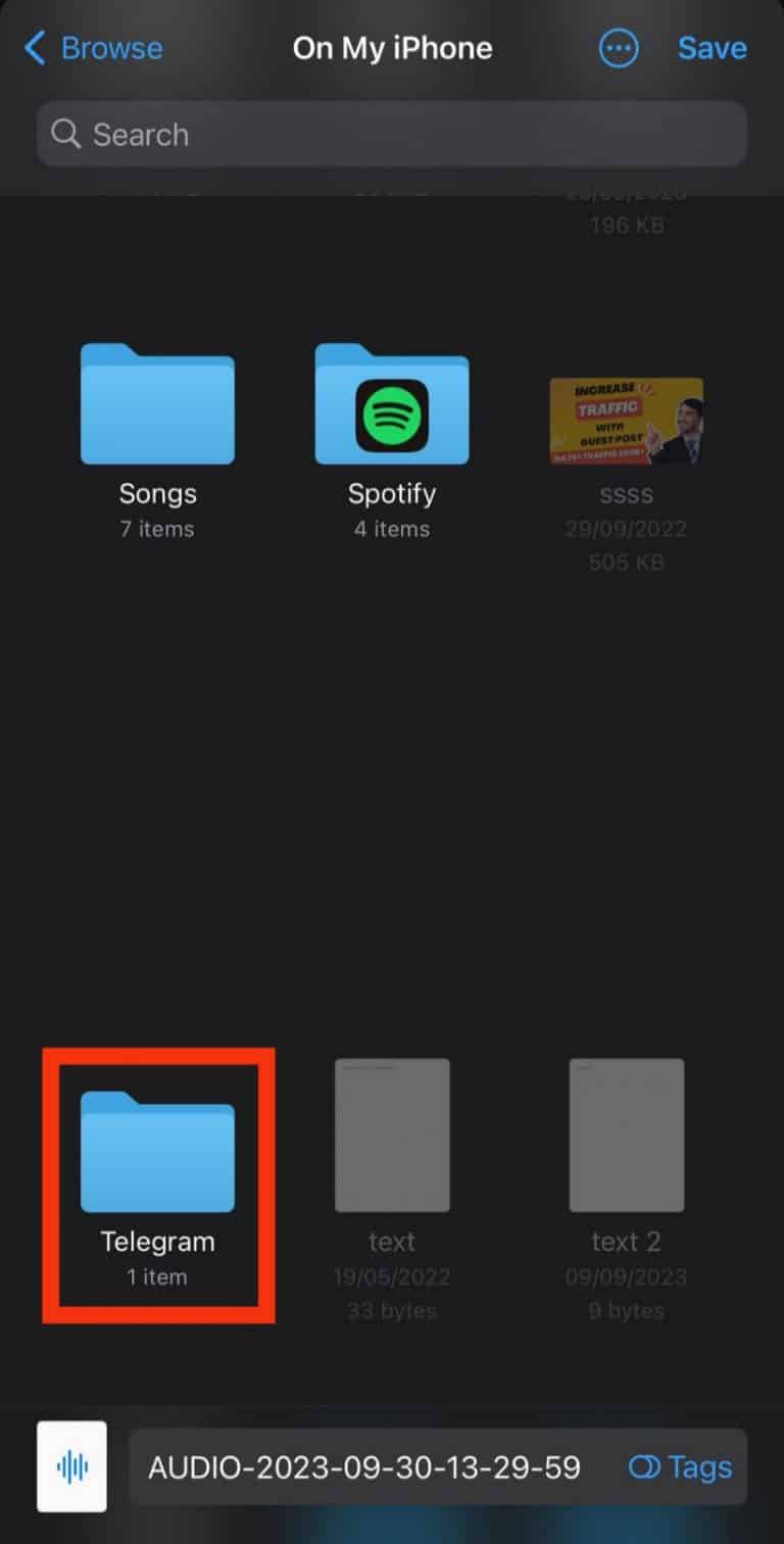 Where Are WhatsApp Audio Files Stored in iPhone? | ITGeared
