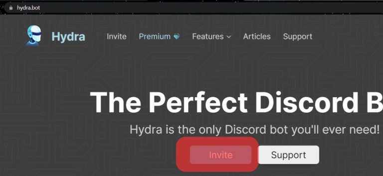 How To Use Hydra Discord | ITGeared