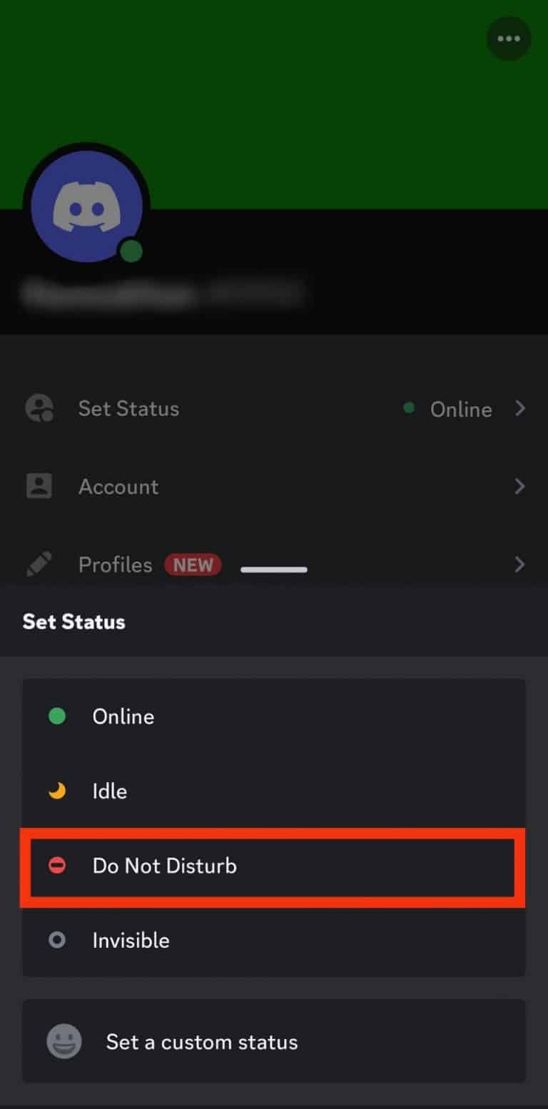 How Does Discord Status Work? | ITGeared