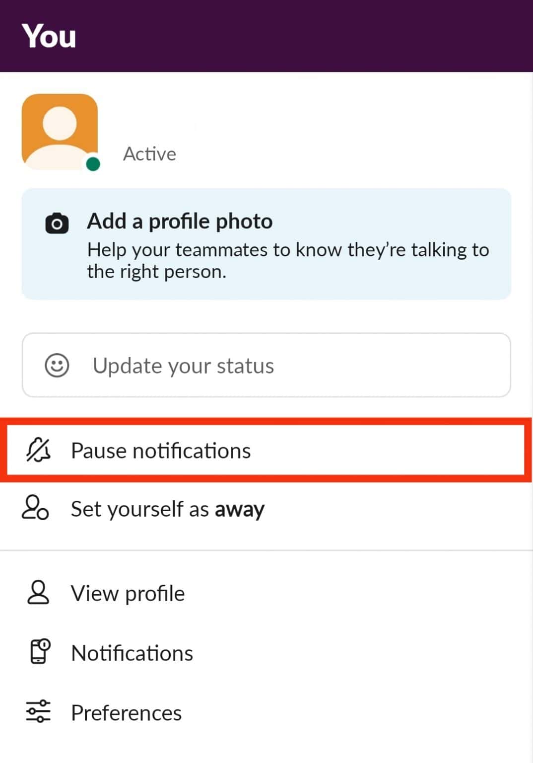What Does Green Dot With Z Mean on Slack? | ITGeared