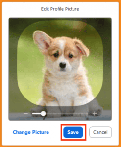 How To Make Your Zoom Profile Picture a GIF | ITGeared
