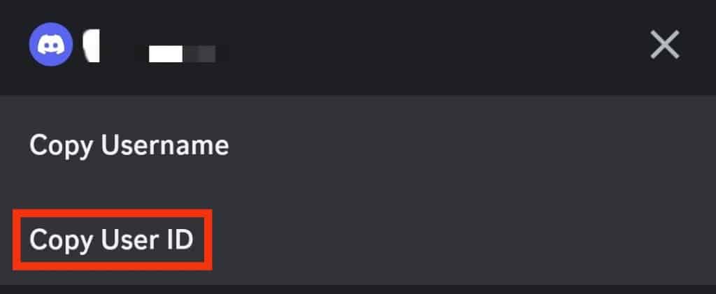 How To View Avatar on Discord | ITGeared
