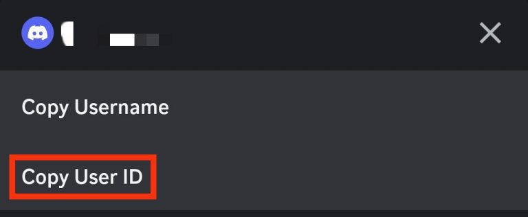 How To View Avatar on Discord | ITGeared
