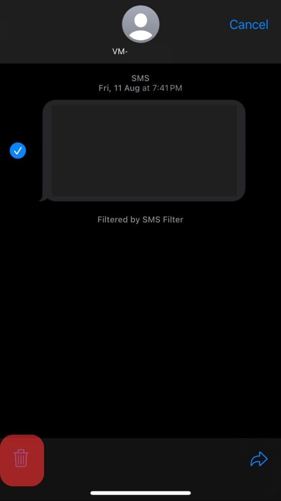 How To Tell if Someone Deleted Your iMessage | ITGeared