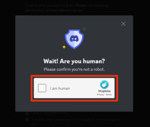 How To Use Mudae Bot on Discord? | ITGeared