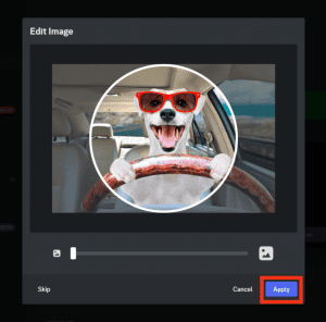 Why Is My Discord PFP Low Quality? | ITGeared