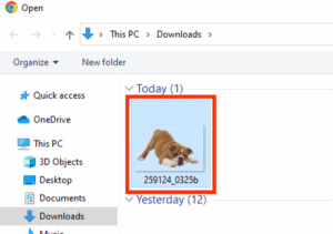 How To Make Your Zoom Profile Picture a GIF | ITGeared