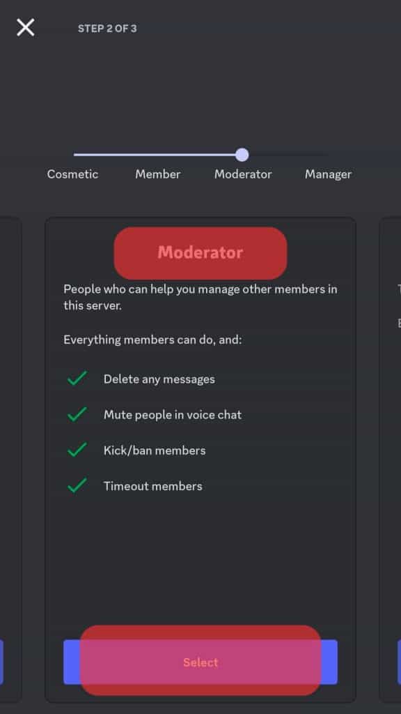 What Permissions To Give Discord Mods? | ITGeared