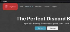 How To Use Hydra Discord | ITGeared