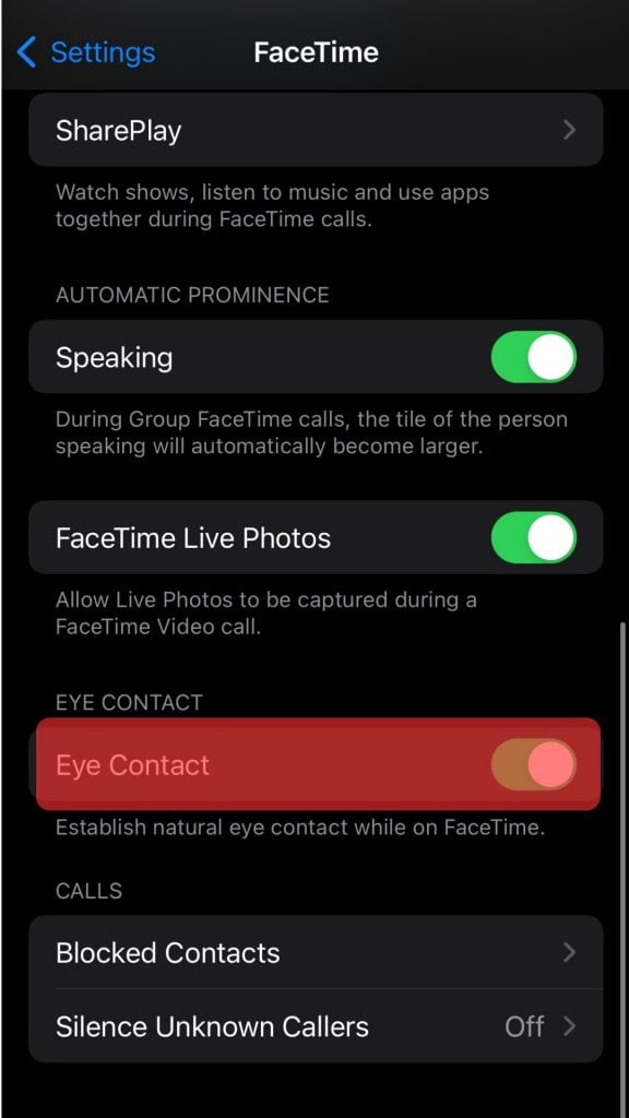Why Do My Eyes Look Weird on FaceTime? | ITGeared