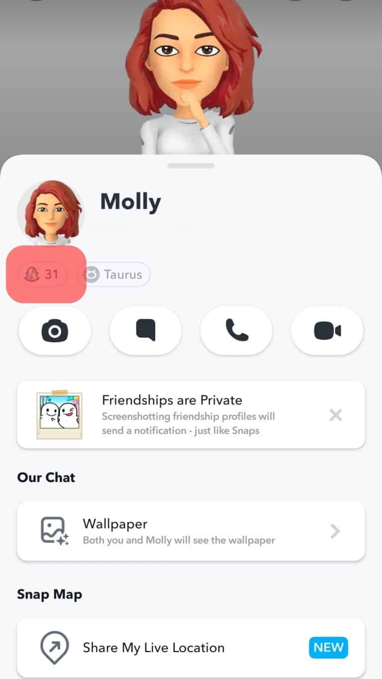 How To See Who Follows You on Snapchat | ITGeared
