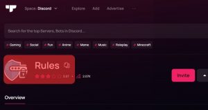 How To Use Rule Bot Discord? | ITGeared