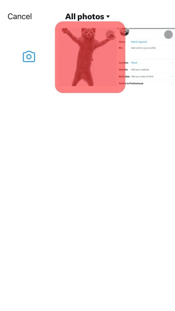 How To Make Twitter Profile Picture a GIF | ITGeared