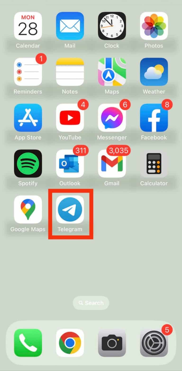 How To Bold Text in Telegram With iPhone? | ITGeared