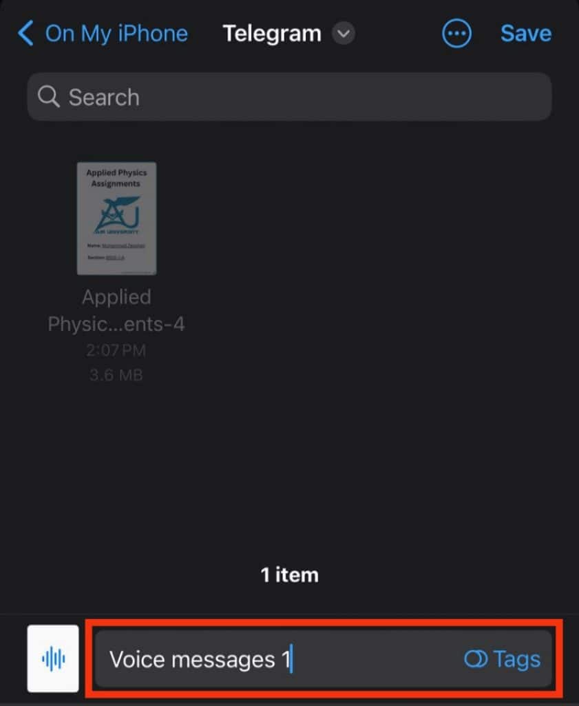 Where Are WhatsApp Audio Files Stored in iPhone? | ITGeared