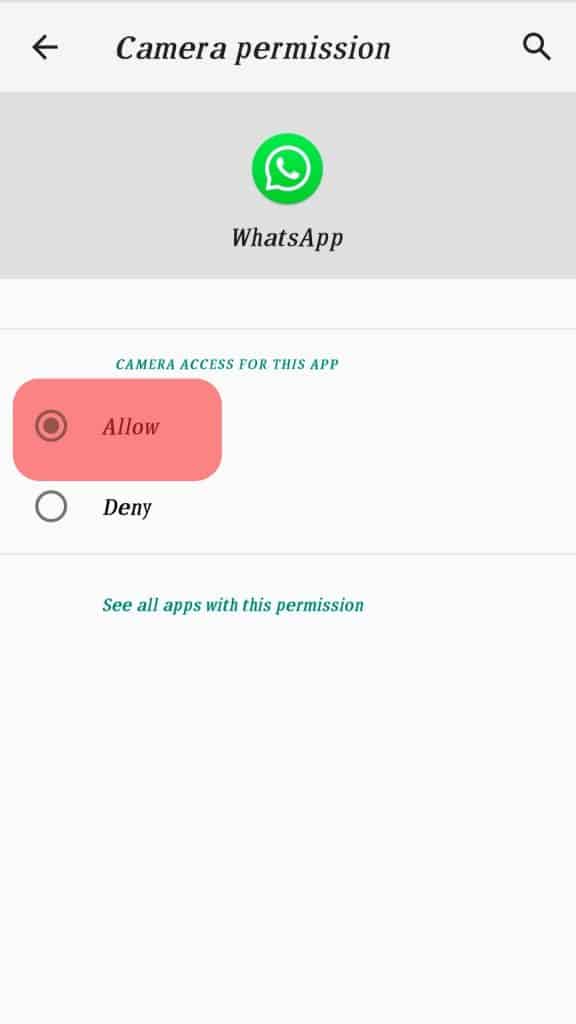 Why Is My Camera Not Working on WhatsApp Video Calls? | ITGeared