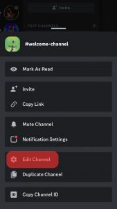 How To Put Icons in Discord Channel Names? | ITGeared