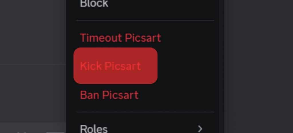 Does Discord Notify When You Kick Someone? | ITGeared