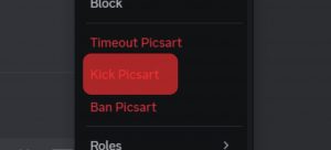 Does Discord Notify When You Kick Someone? | ITGeared