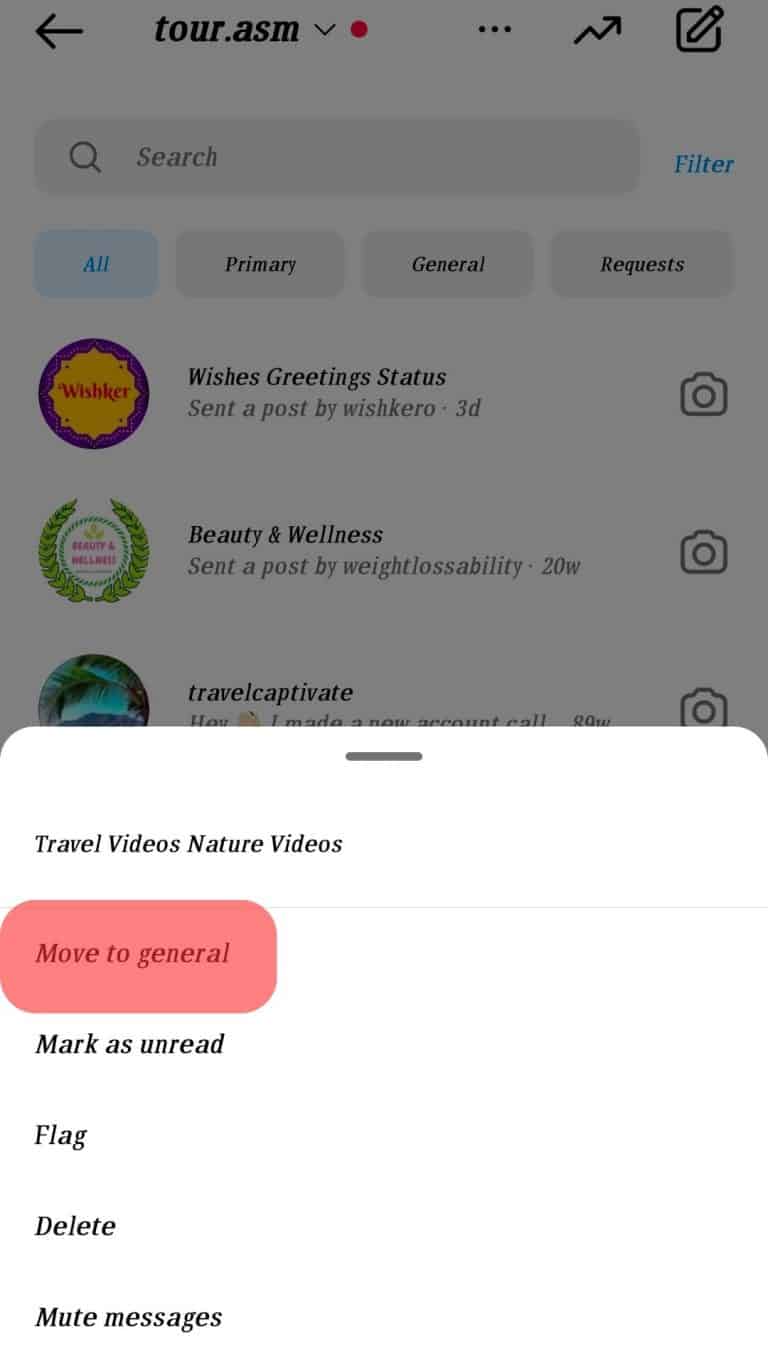 How To Get Primary and General DMs on Instagram | ITGeared