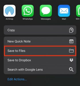 Where Are Telegram Files Saved on iPhone? | ITGeared