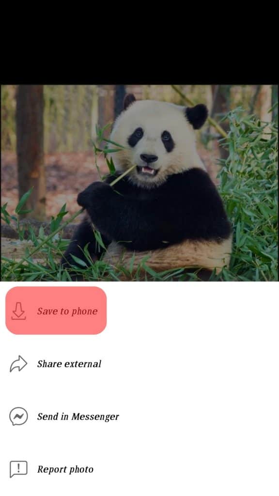 Can They Know if I Downloaded Their Picture on Facebook? | ITGeared