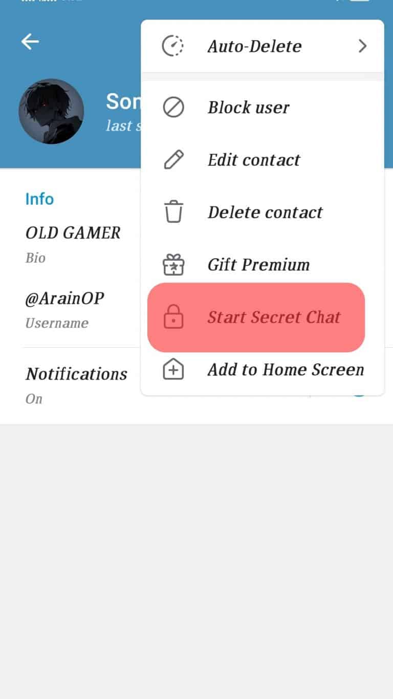 What Is the Lock Symbol in Telegram? | ITGeared