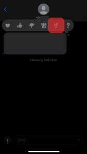 What Does "Emphasize" Mean on iMessage? | ITGeared