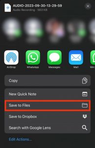 Where Are WhatsApp Audio Files Stored in iPhone? | ITGeared
