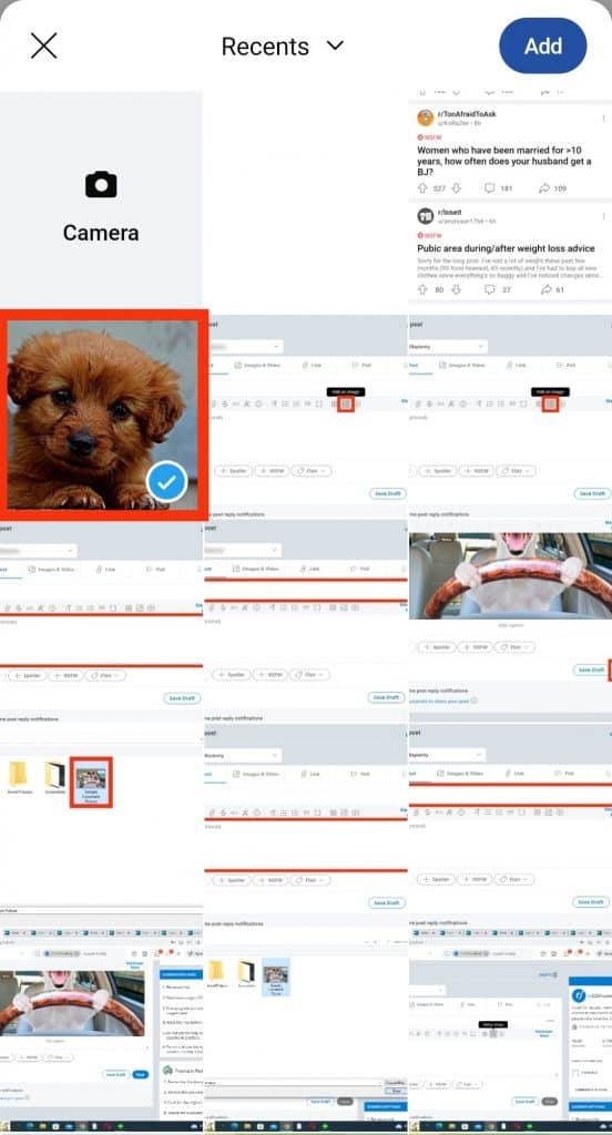 How To Embed Images on Reddit? | ITGeared