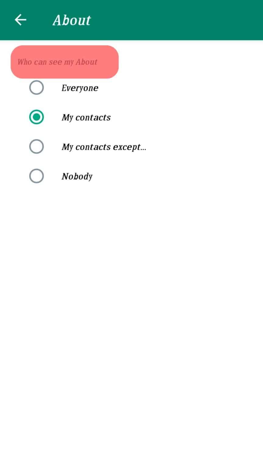 What Does “Busy” Mean on WhatsApp? | ITGeared