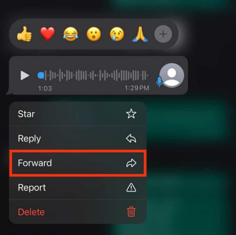 Where Are WhatsApp Audio Files Stored in iPhone? | ITGeared