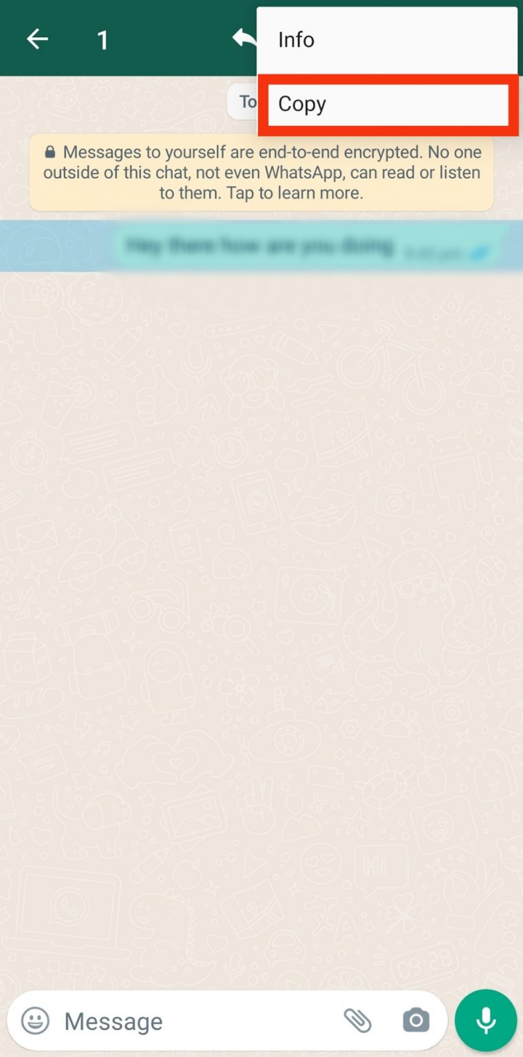 How To Send WhatsApp Messages to Multiple Contacts? | ITGeared
