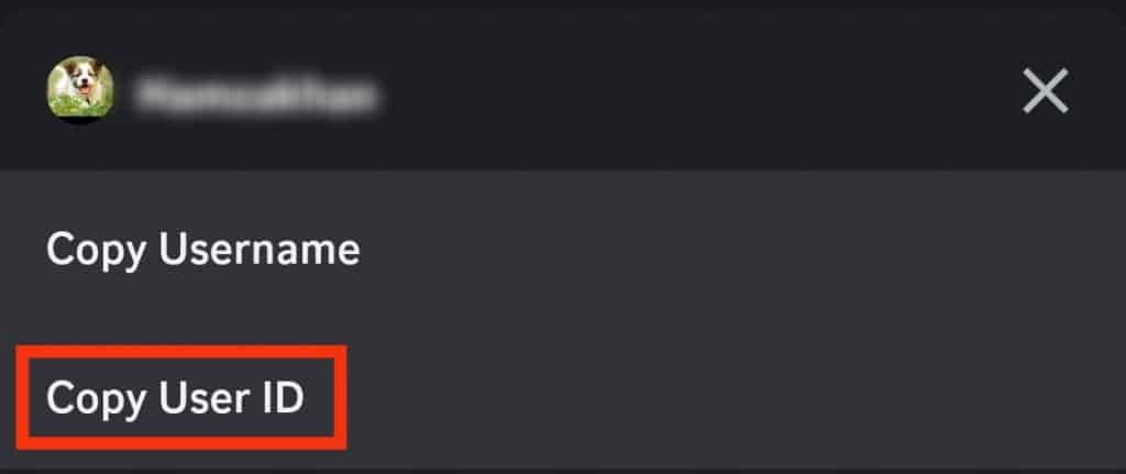What Is a Discord Handle? | ITGeared