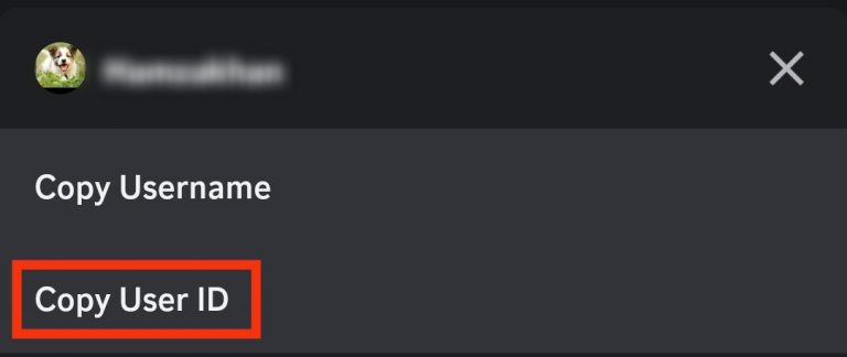 What Is a Discord Handle? | ITGeared