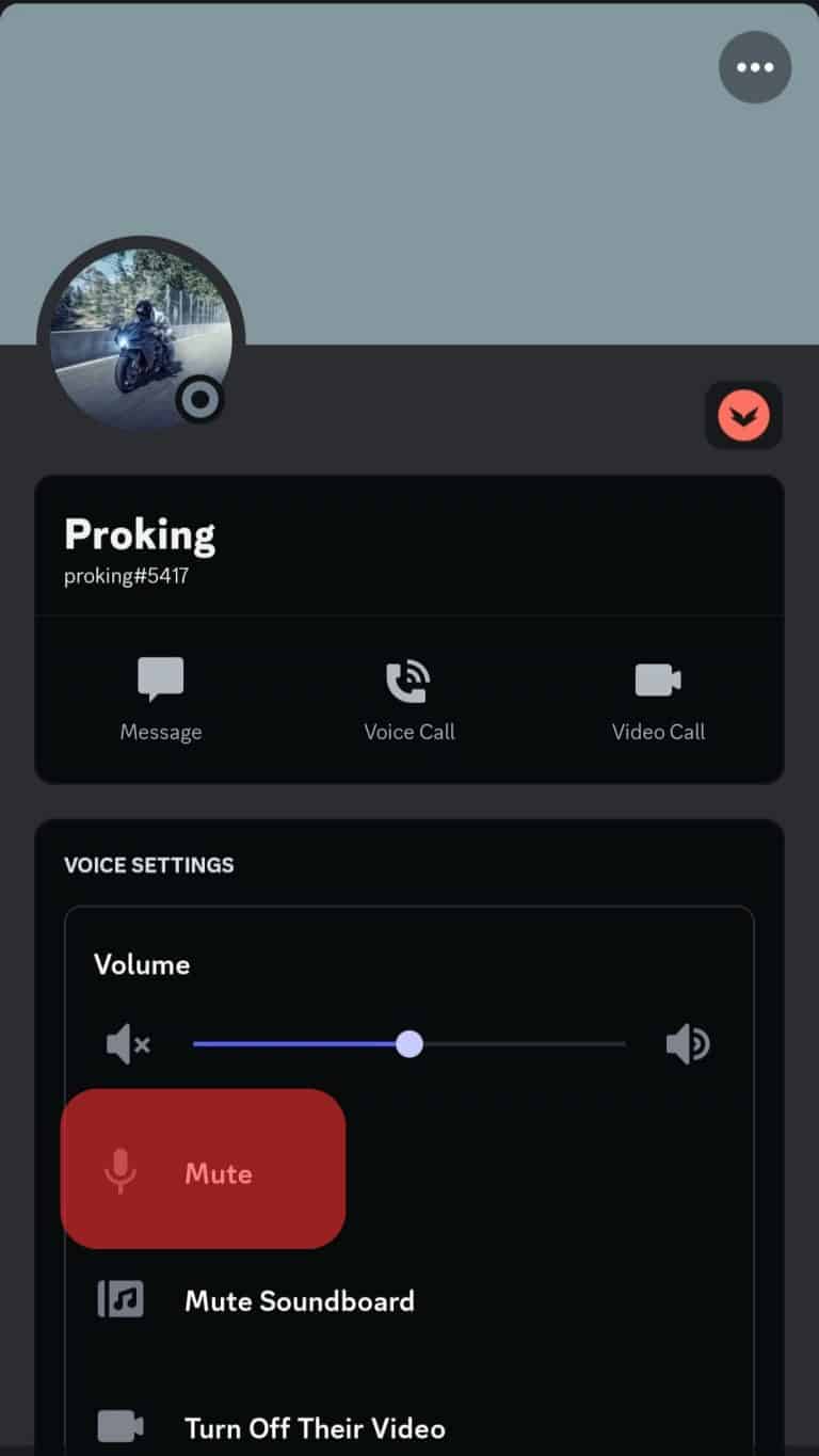 How To Mute on Discord Mobile | ITGeared