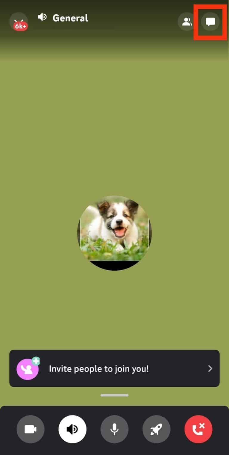 How To Use Chip Bot on Discord? | ITGeared