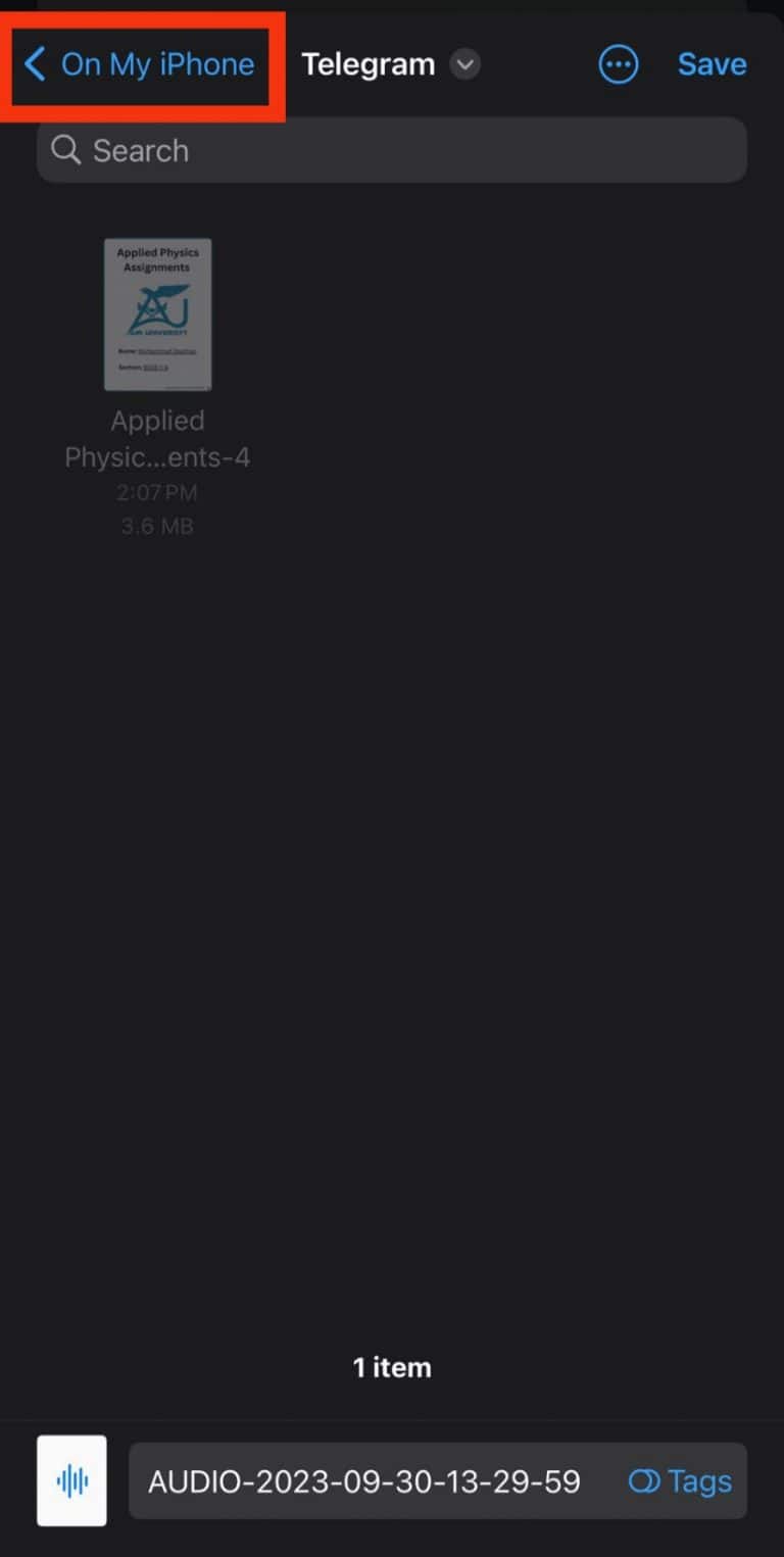 Where Are WhatsApp Audio Files Stored in iPhone? | ITGeared