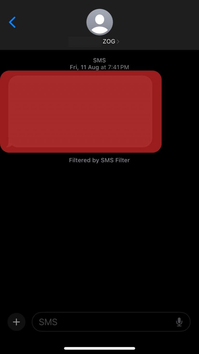 What Does "Emphasize" Mean on iMessage? | ITGeared