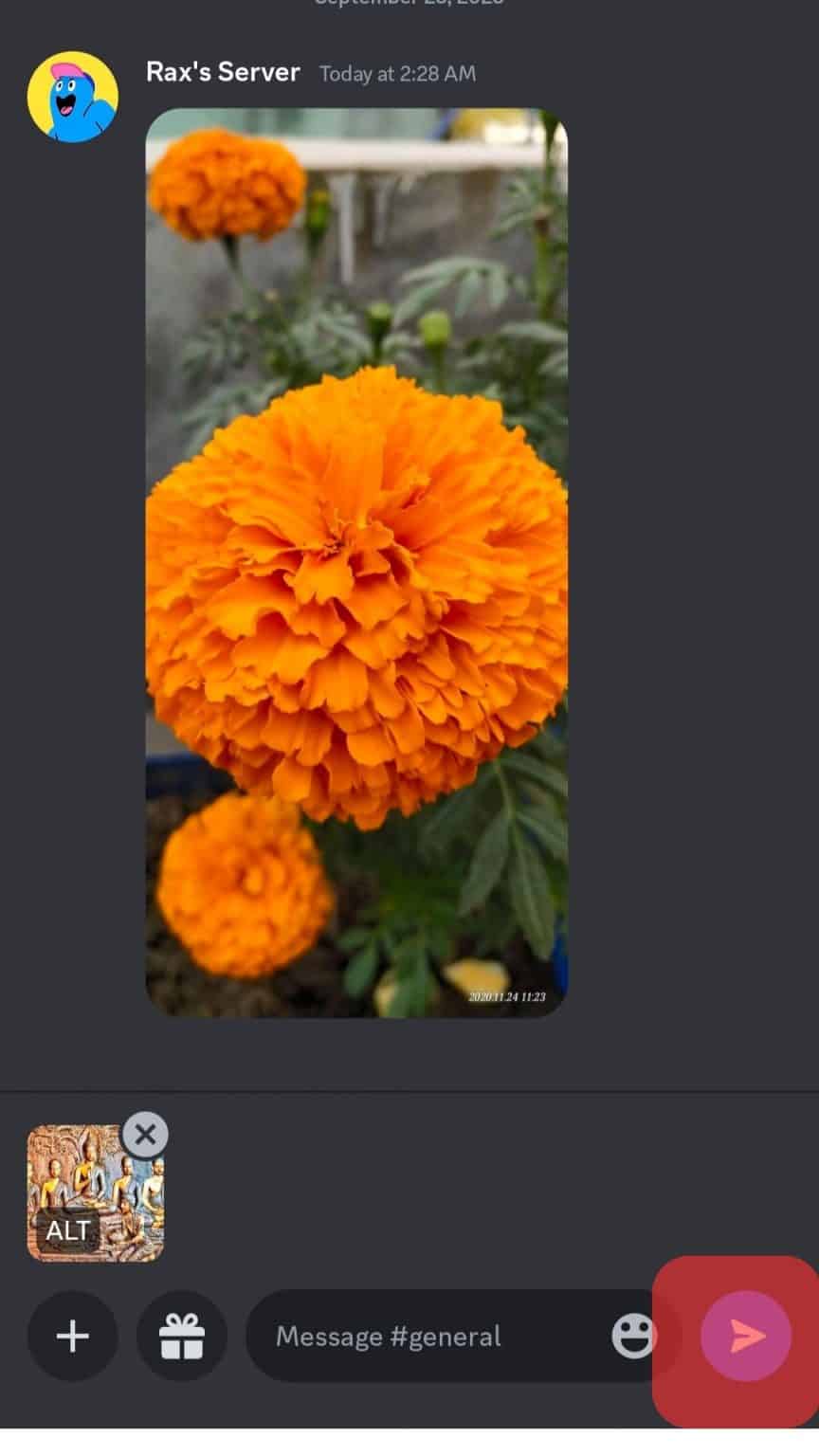 How To Add Images in Discord | ITGeared