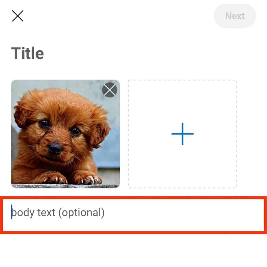 How To Embed Images on Reddit? | ITGeared