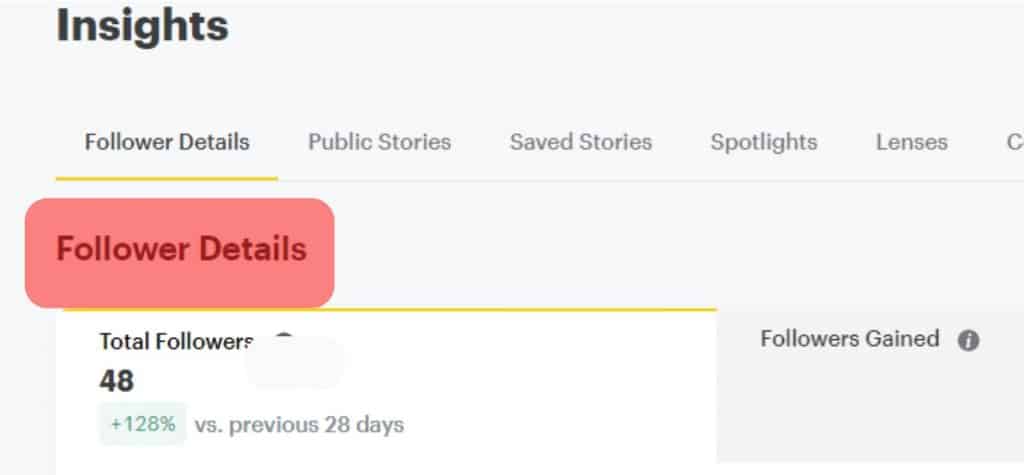 How To See Your Subscribers on Snapchat? | ITGeared