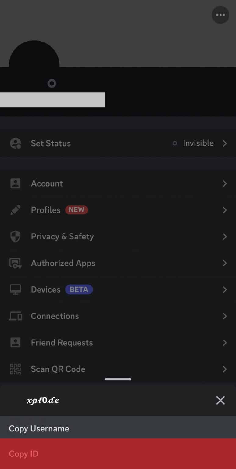 How To Share Discord Profile Link? | ITGeared