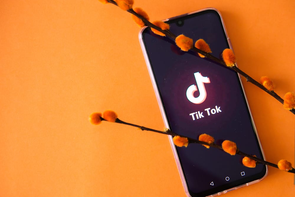 How To Change Text Size On TikTok ITGeared