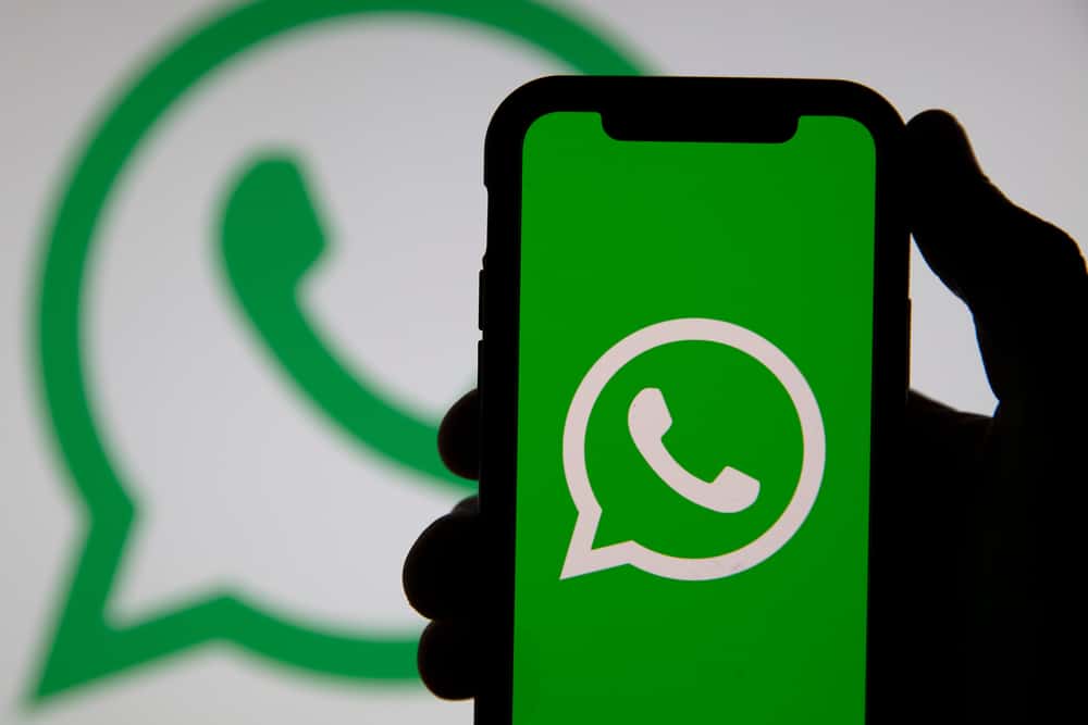 How To Make A Fake WhatsApp ITGeared