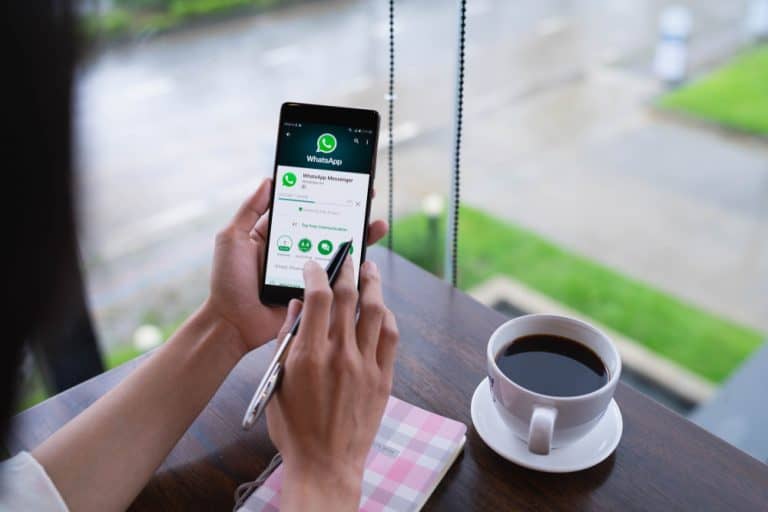 How To Ping Someone on WhatsApp? | ITGeared