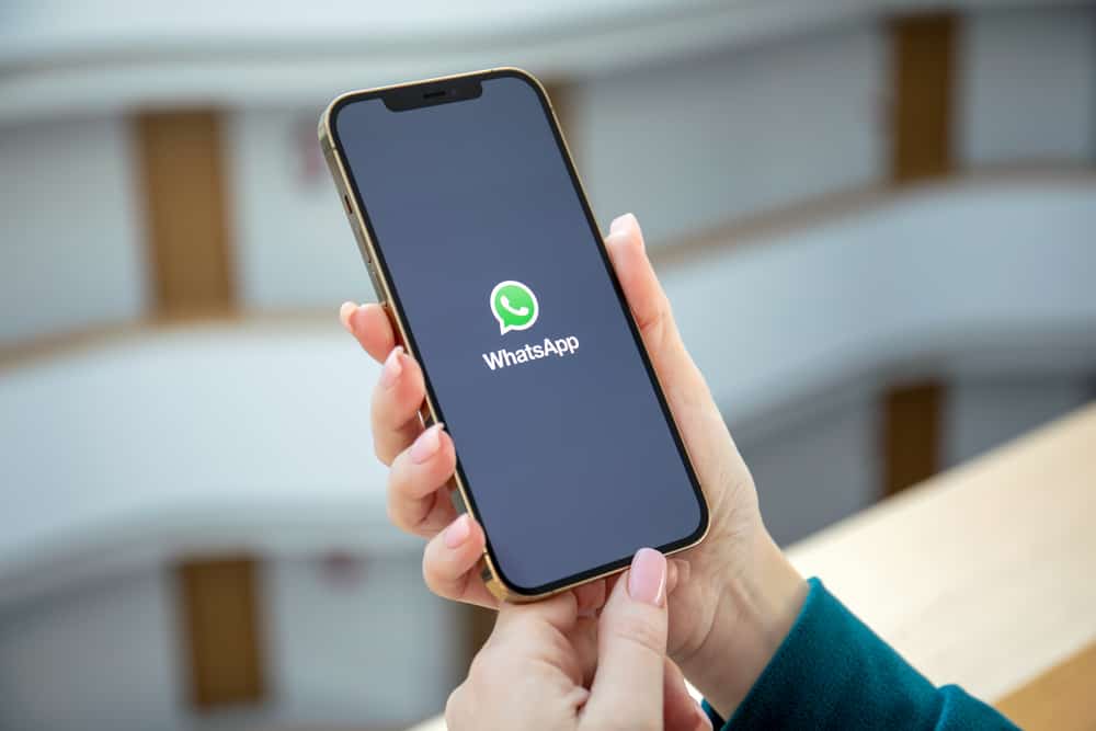 What Does A Square Clock Mean On WhatsApp ITGeared