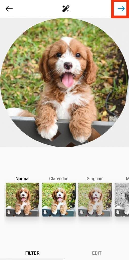 Why Is My Instagram Profile Picture Blurry? | ITGeared