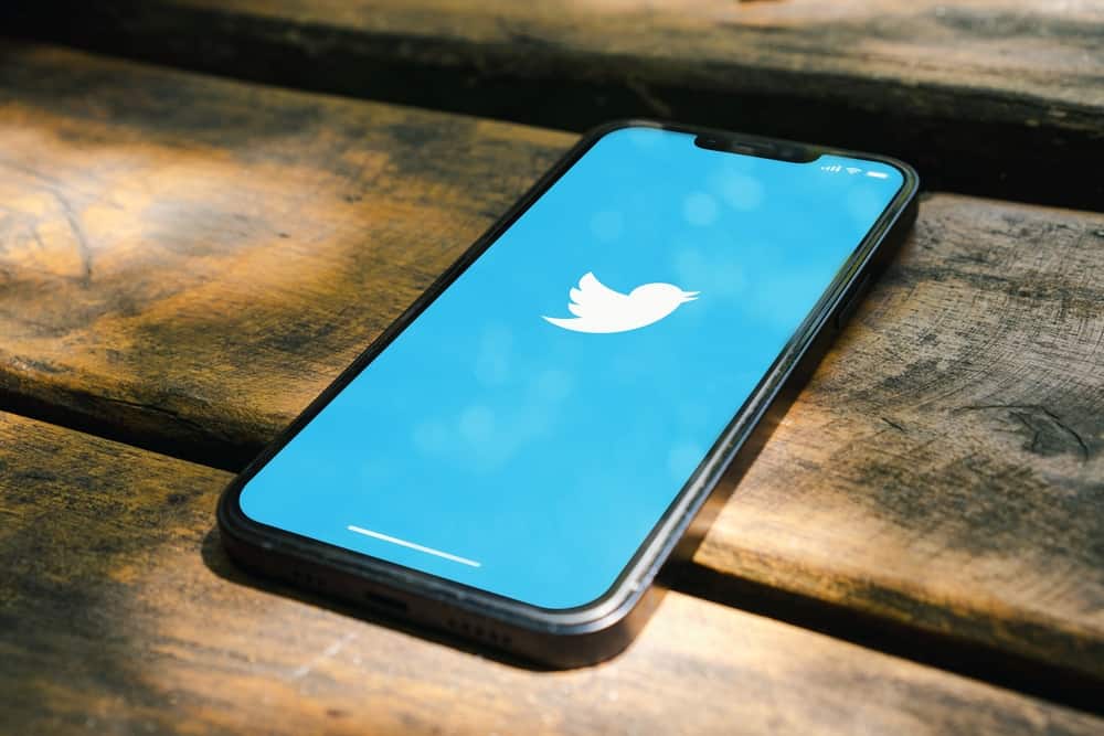 What Does P Mean On Twitter ITGeared